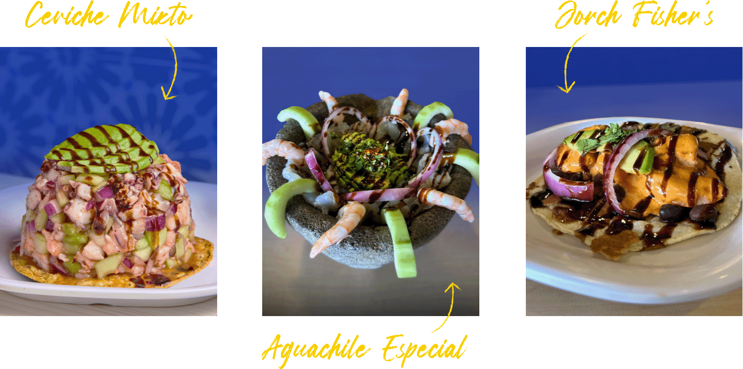 Cevice y Aguachiles El Negro